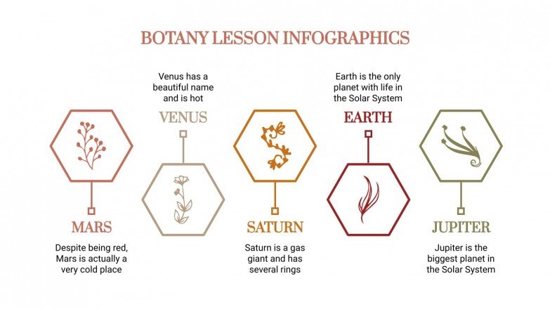 Infográficos da aula de botânica | Modelo do Google Slides e PPT