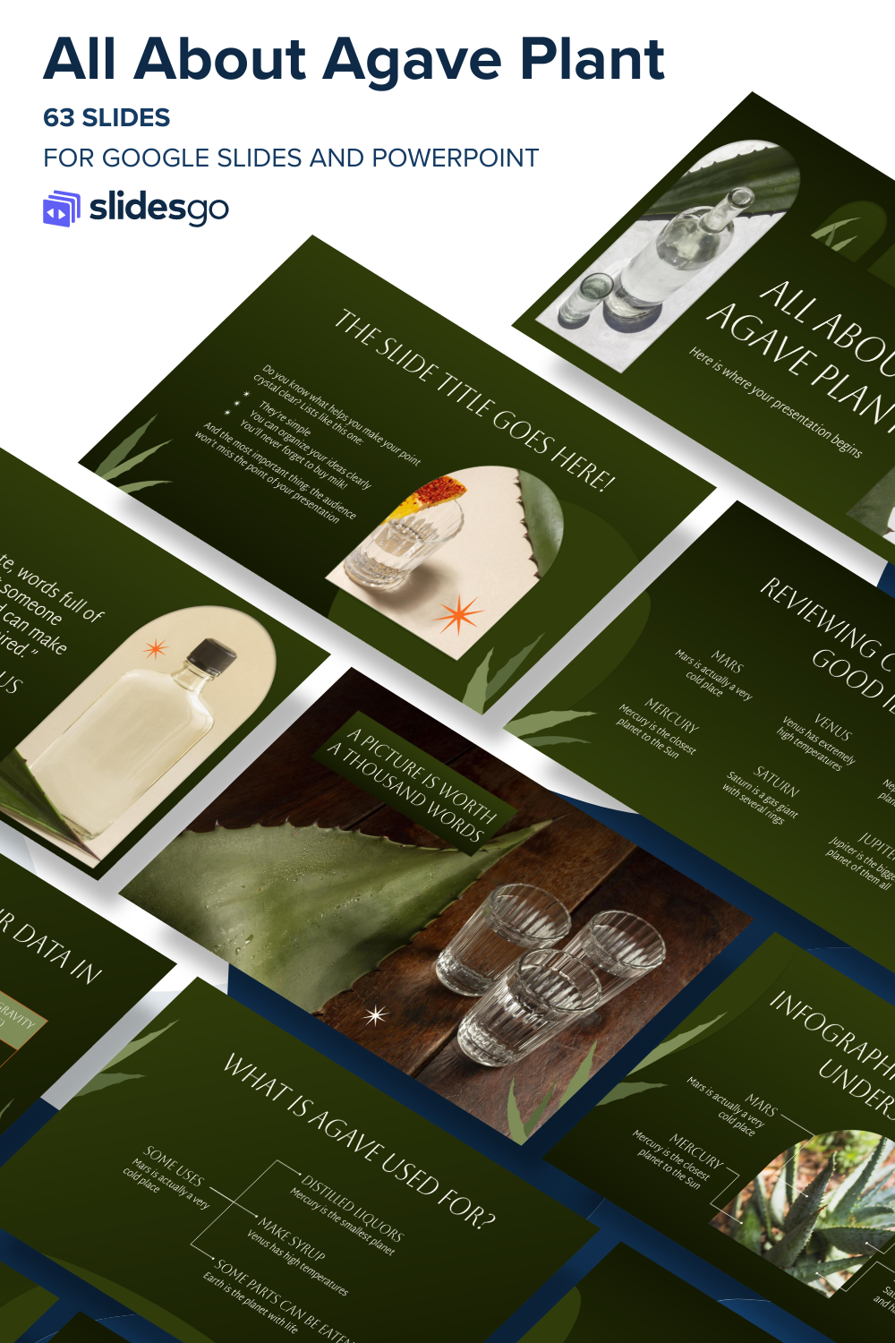 All About Agave Plant | Google Slides & PowerPoint