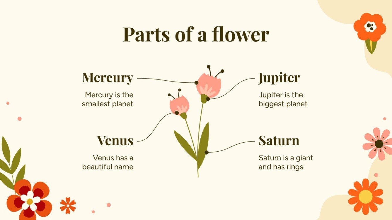 Flowers and Shapes Theme | Google Slides & PowerPoint