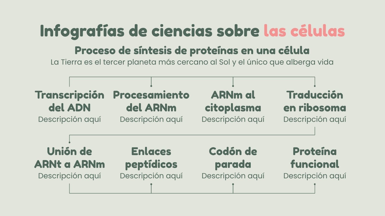 Discovering the Cell Infographics | Google Slides & PPT