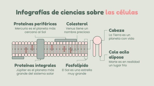 Discovering the Cell Infographics | Google Slides & PPT