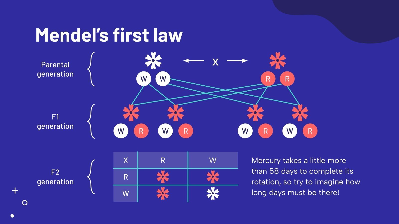 Diplôme de médecine : génétique mendélienne | Google Slides