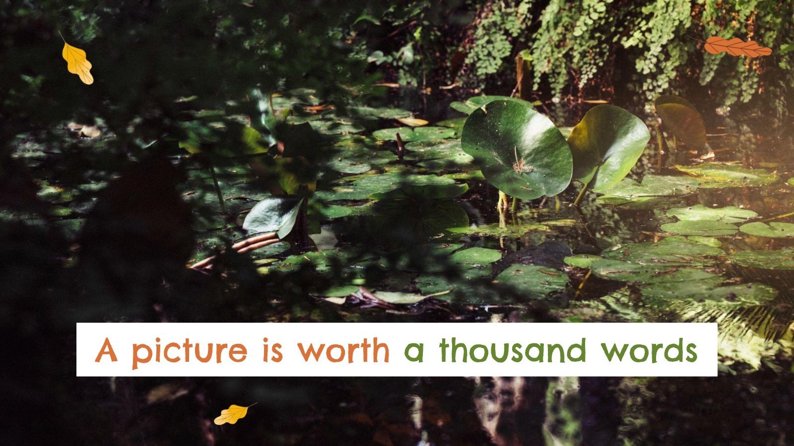 Capybaras Minitheme | Google Slides & PowerPoint