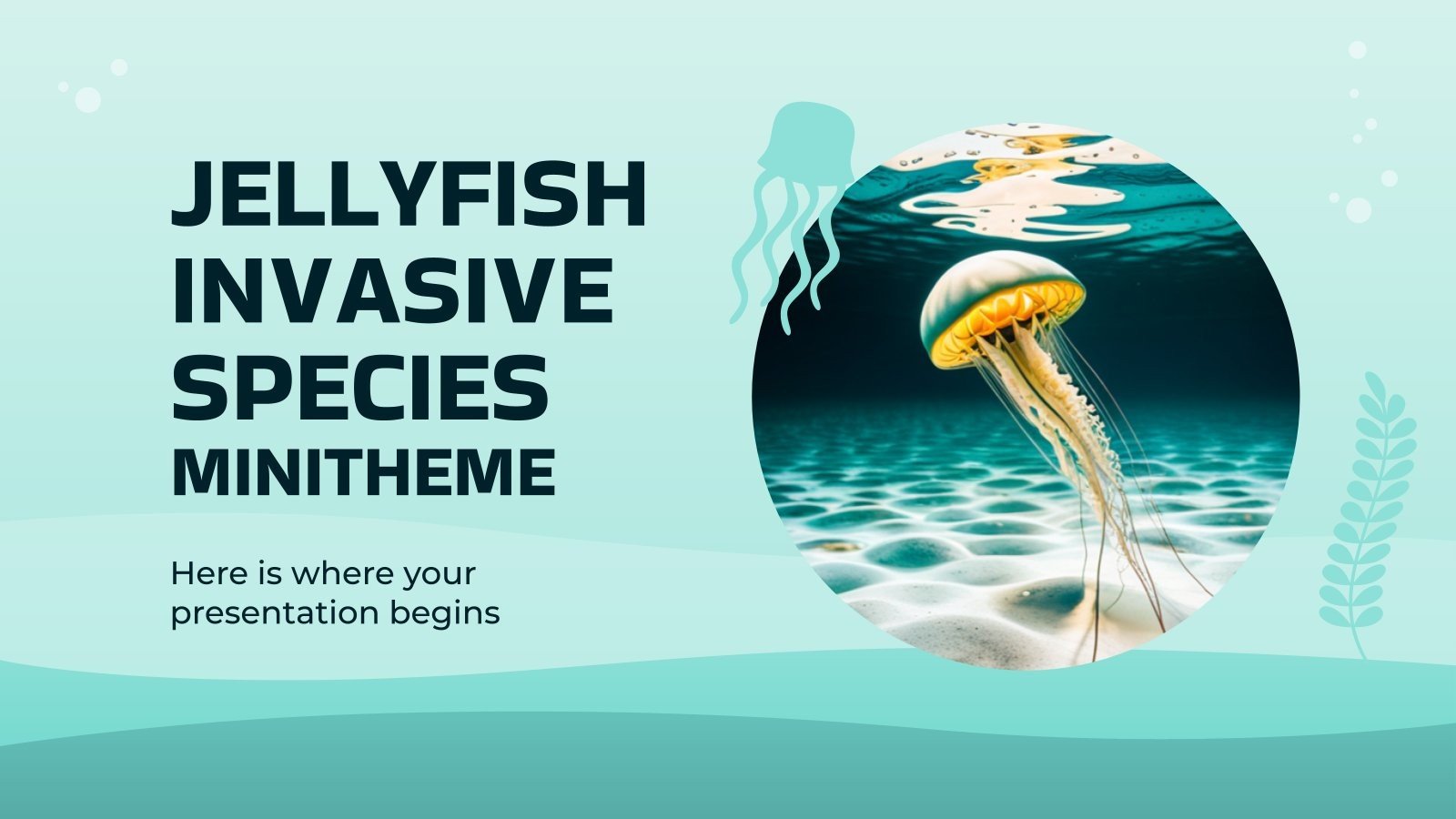 Jellyfish Invasive Species Minitheme | Google Slides & PPT
