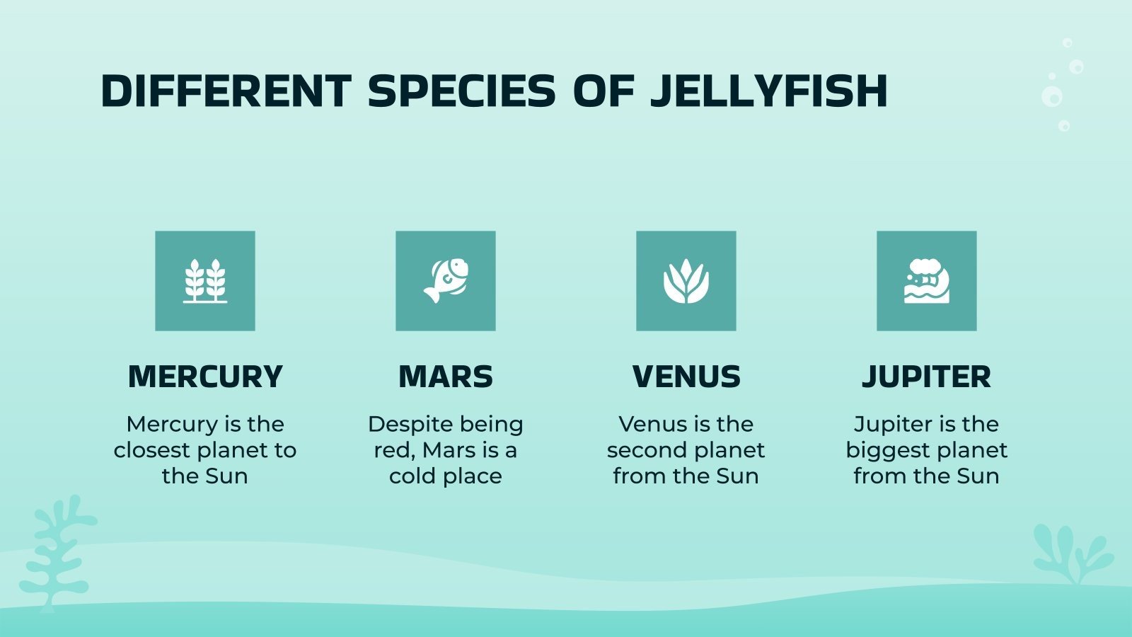 Jellyfish Invasive Species Minitheme | Google Slides & PPT