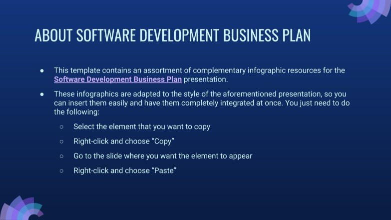 Software Development Business Plan Infographics
