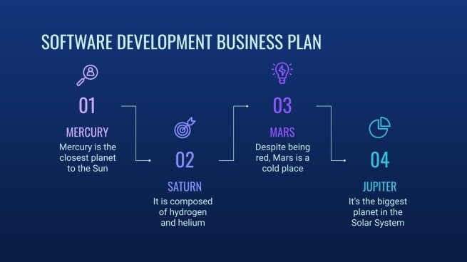 Software Development Business Plan Infographics