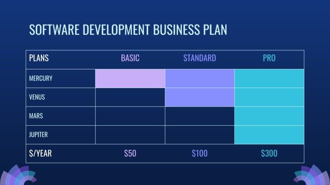 Software Development Business Plan Infographics