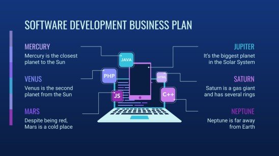 Software Development Business Plan Infographics