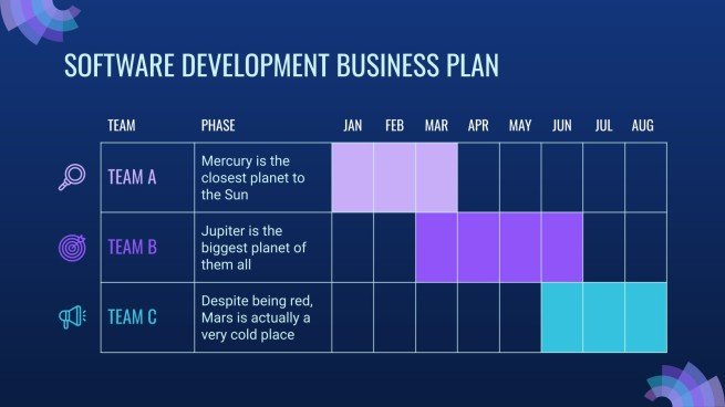 Software Development Business Plan Infographics