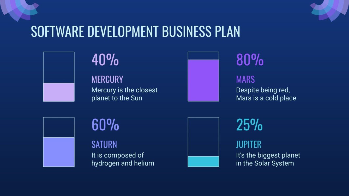 Software Development Business Plan Infographics
