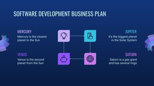 Software Development Business Plan Infographics