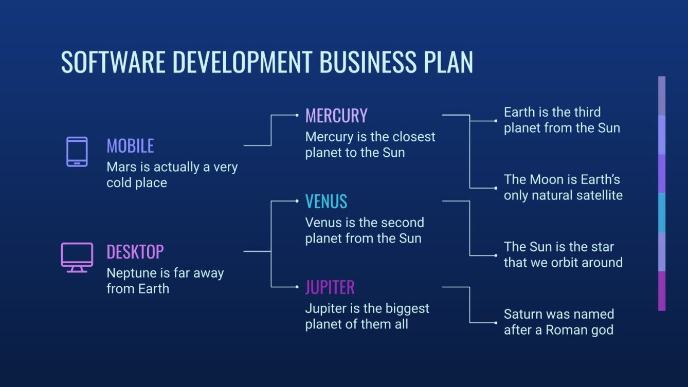 Software Development Business Plan Infographics