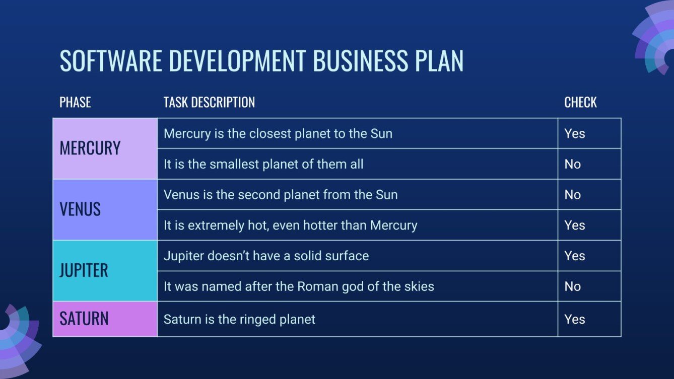 Software Development Business Plan Infographics