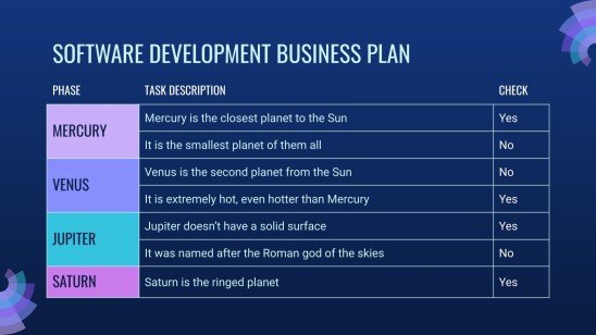 Software Development Business Plan Infographics