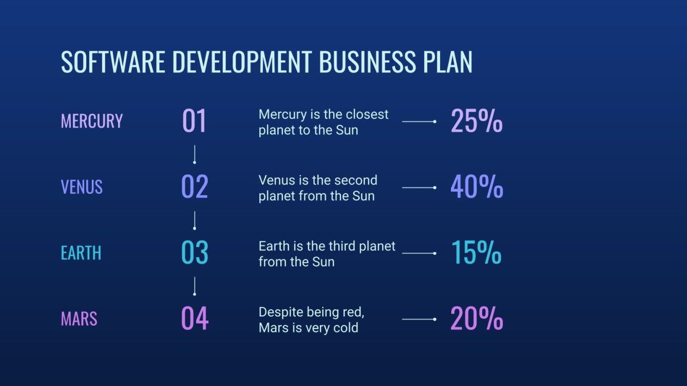 Software Development Business Plan Infographics