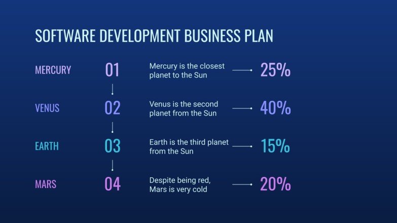 Software Development Business Plan Infographics
