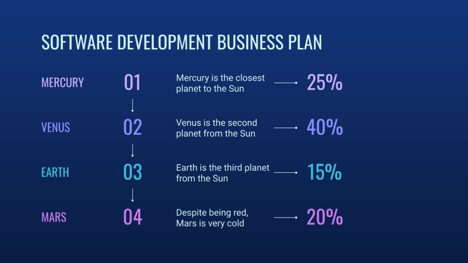 Software Development Business Plan Infographics