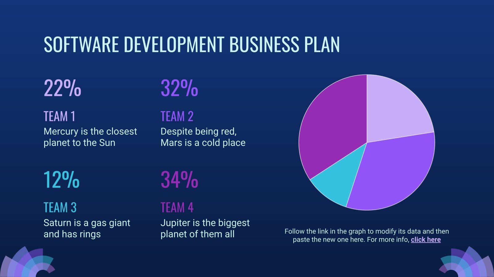 Software Development Business Plan Infographics