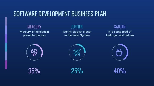 Software Development Business Plan Infographics