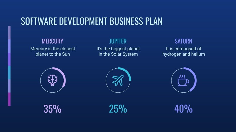 Software Development Business Plan Infographics