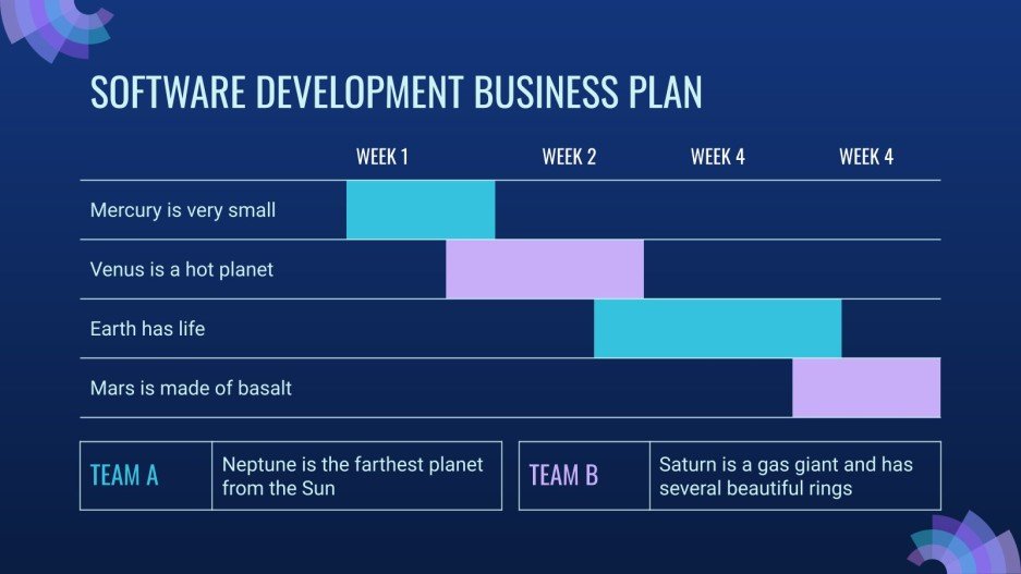 Plan de negocios: desarrollo de software infografías
