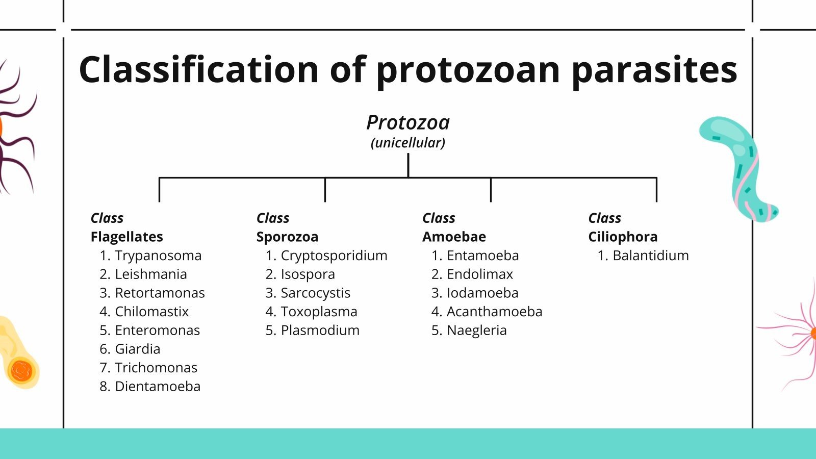 Diplôme en santé pour l'université : Parasitologie