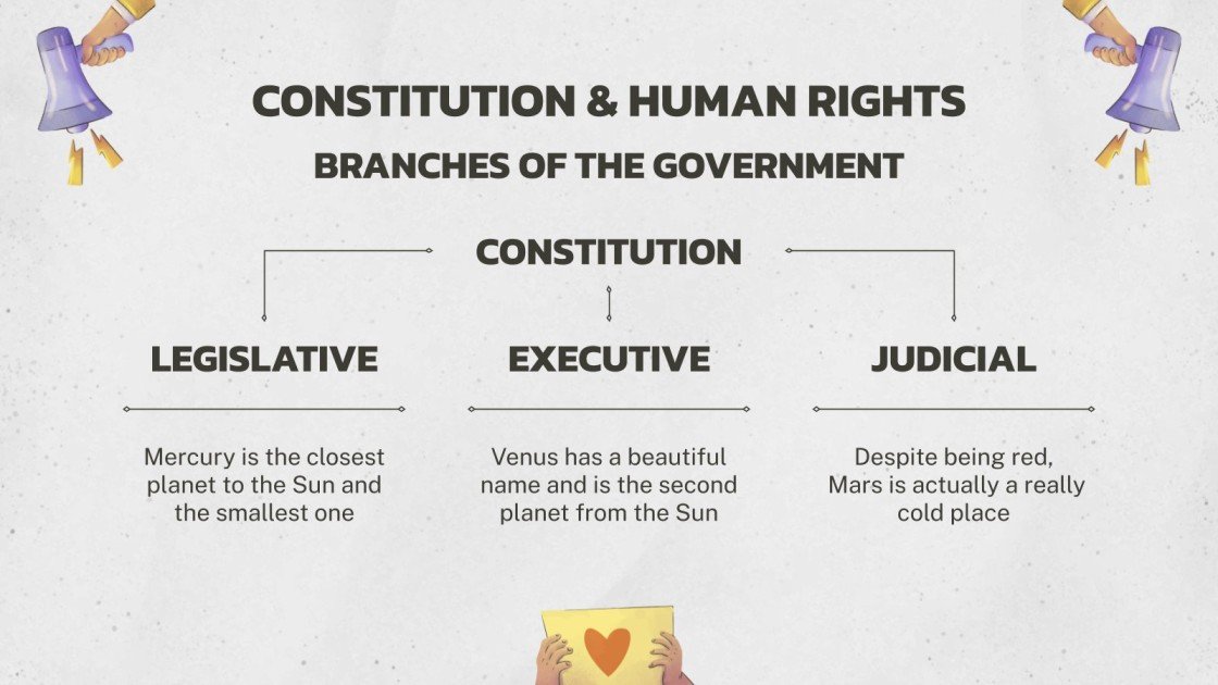 Social Studies: Constitution & Human Rights Infographics