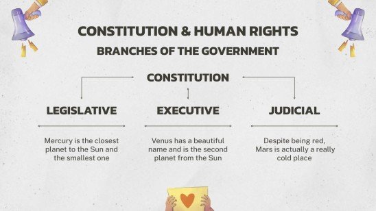 Social Studies: Constitution & Human Rights Infographics