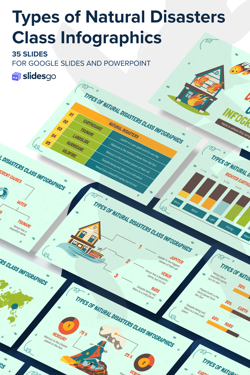 Types of Natural Disasters Class Infographics