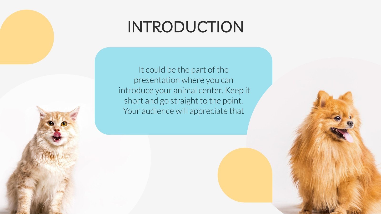 Animal Center Google Slides Theme and PowerPoint Template