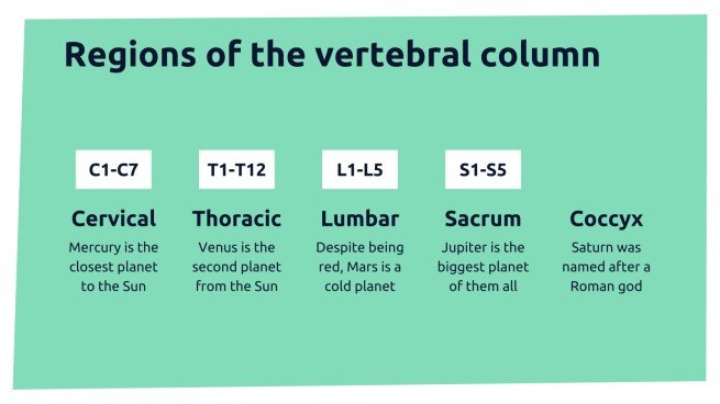 Biology Subject for Middle School: Vertebral Classification