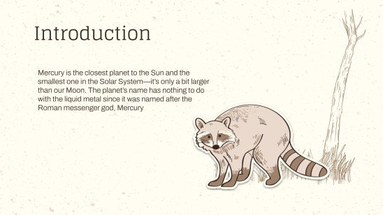 Facts About Raccoons | Google Slides & PowerPoint