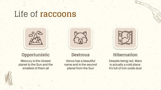 Facts About Raccoons | Google Slides & PowerPoint