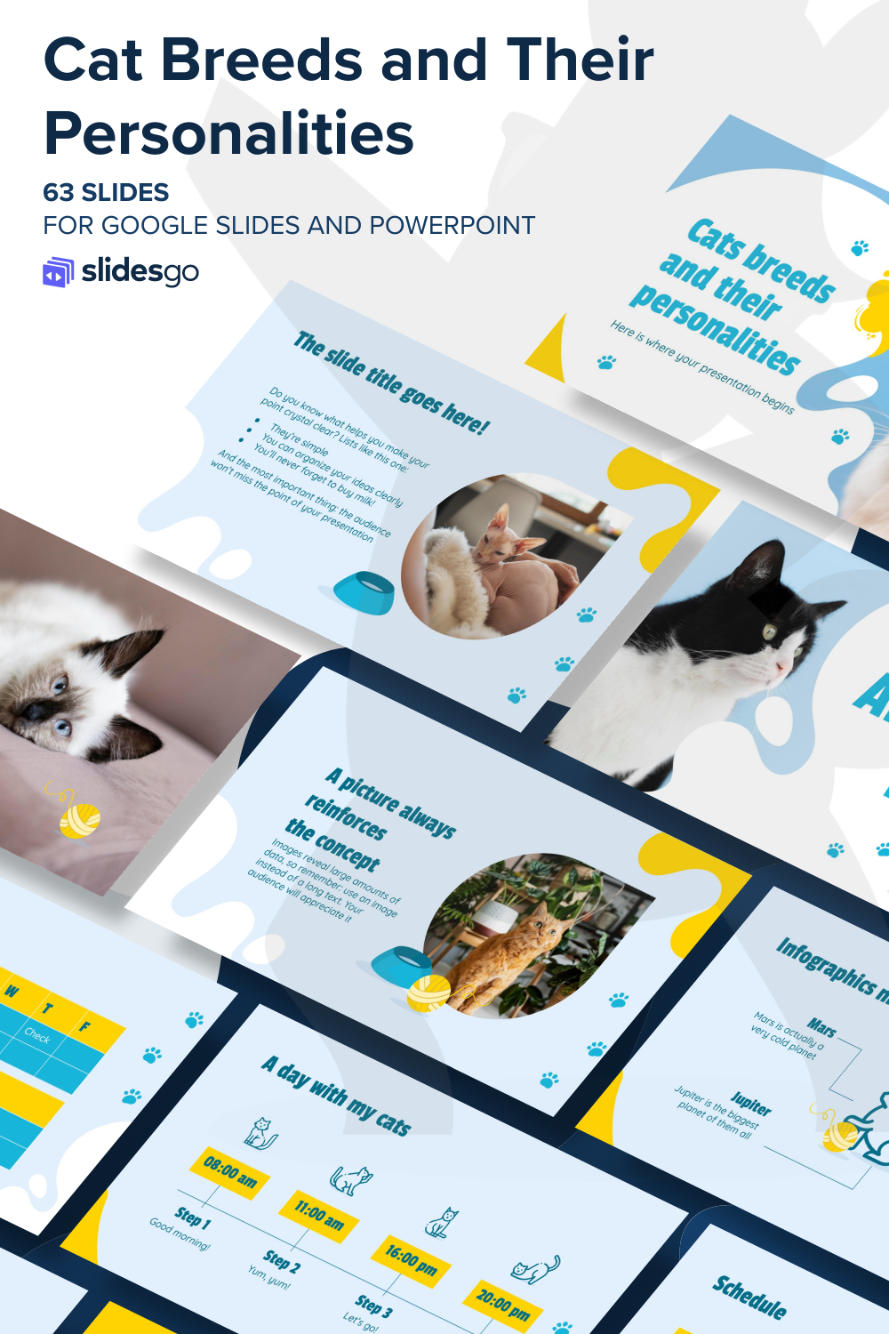 Cat Breeds and Their Personalities | Google Slides & PPT