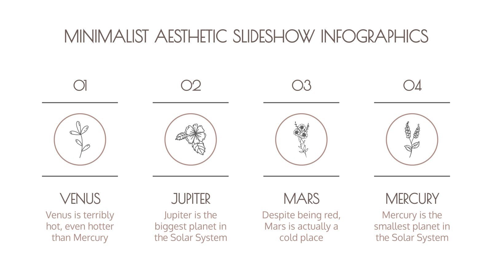 Minimalist Aesthetic Slideshow Infographics | Google Slides