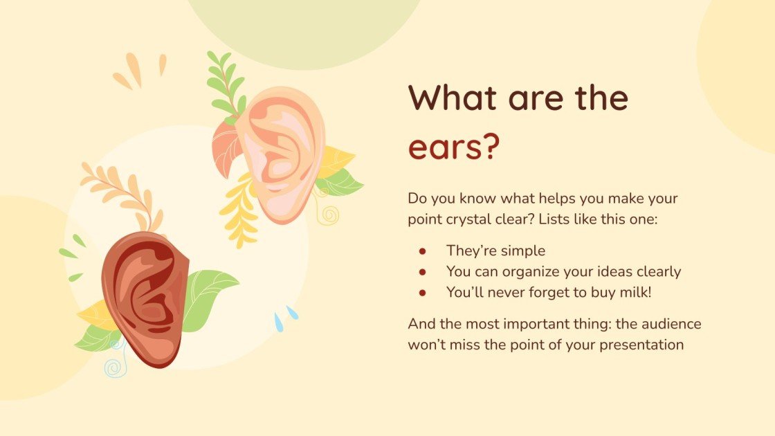 Ciência para o ensino fundamental: a orelha e suas partes