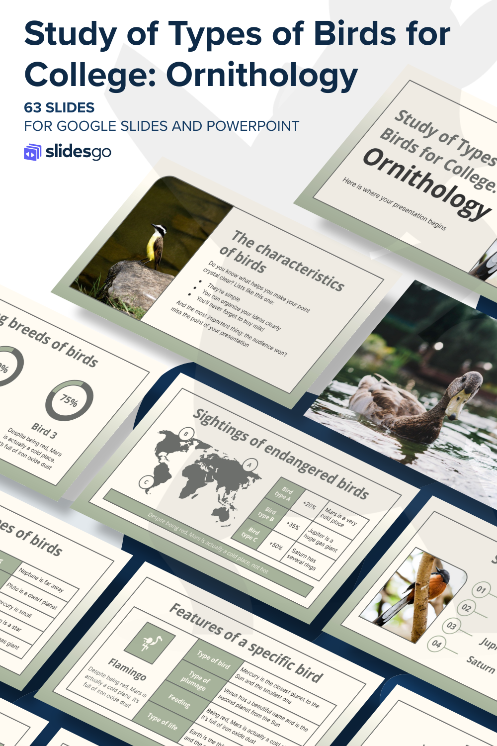 Study of Types of Birds for College: Ornithology