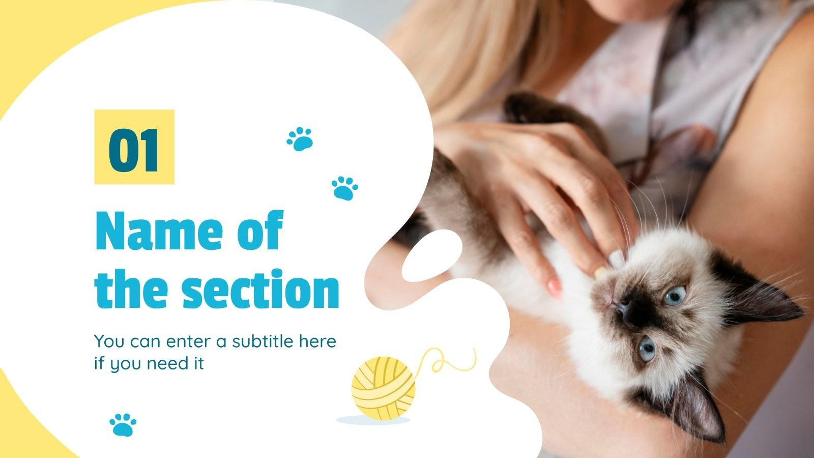 Cat Breeds and Their Personalities | Google Slides & PPT