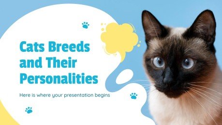 Plantillas gratis sobre Gatos para Google Slides y PowerPoint