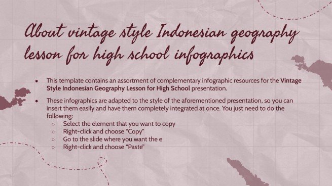 Vintage Style Indonesian Geography Lesson Infographics