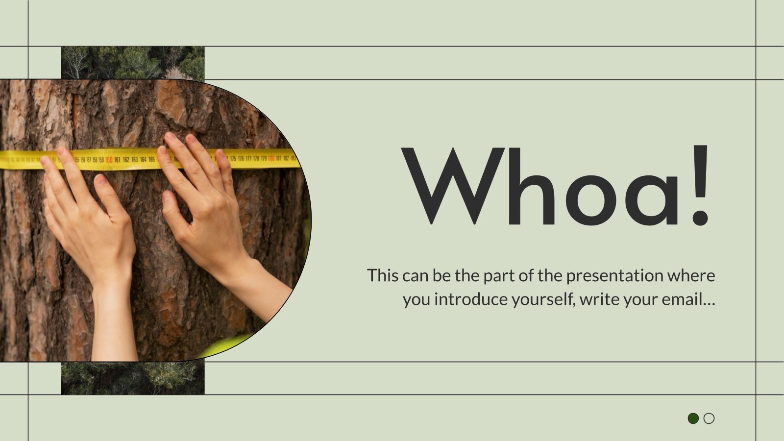 Forestry Engineering Master's Degree | Google Slides & PPT