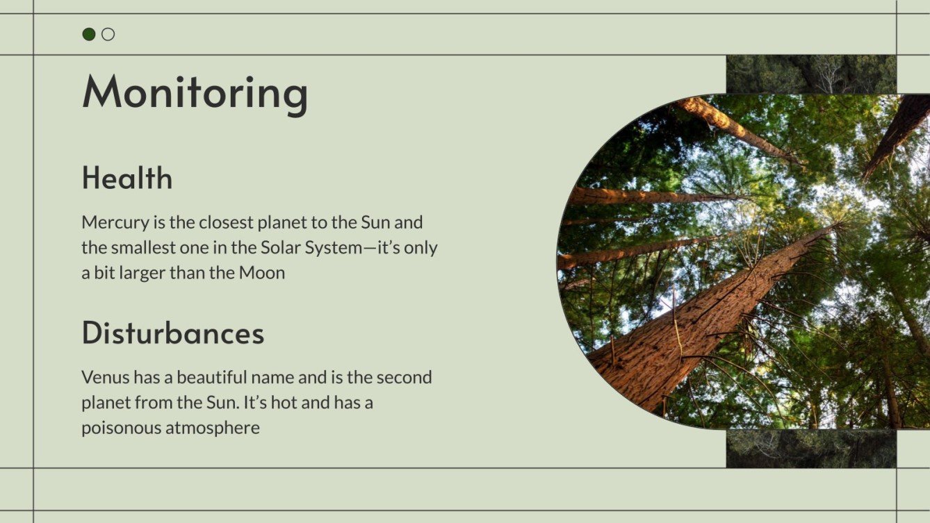 Forestry Engineering Master's Degree | Google Slides & PPT