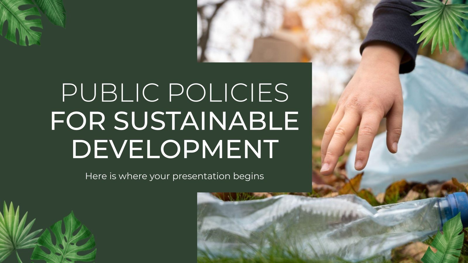 Free policy-themed templates for Google Slides and PowerPoint