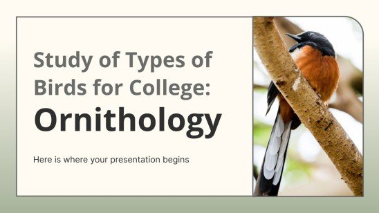 Study of Types of Birds for College: Ornithology