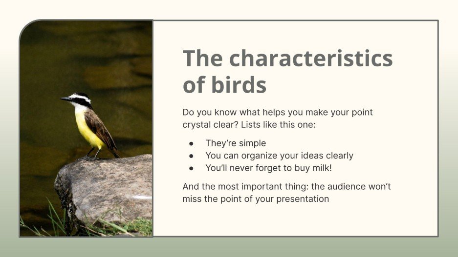 Study of Types of Birds for College: Ornithology