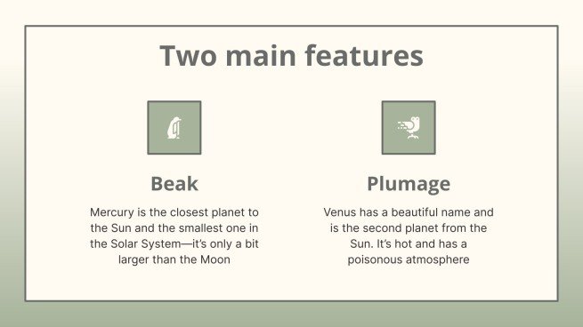 Study of Types of Birds for College: Ornithology