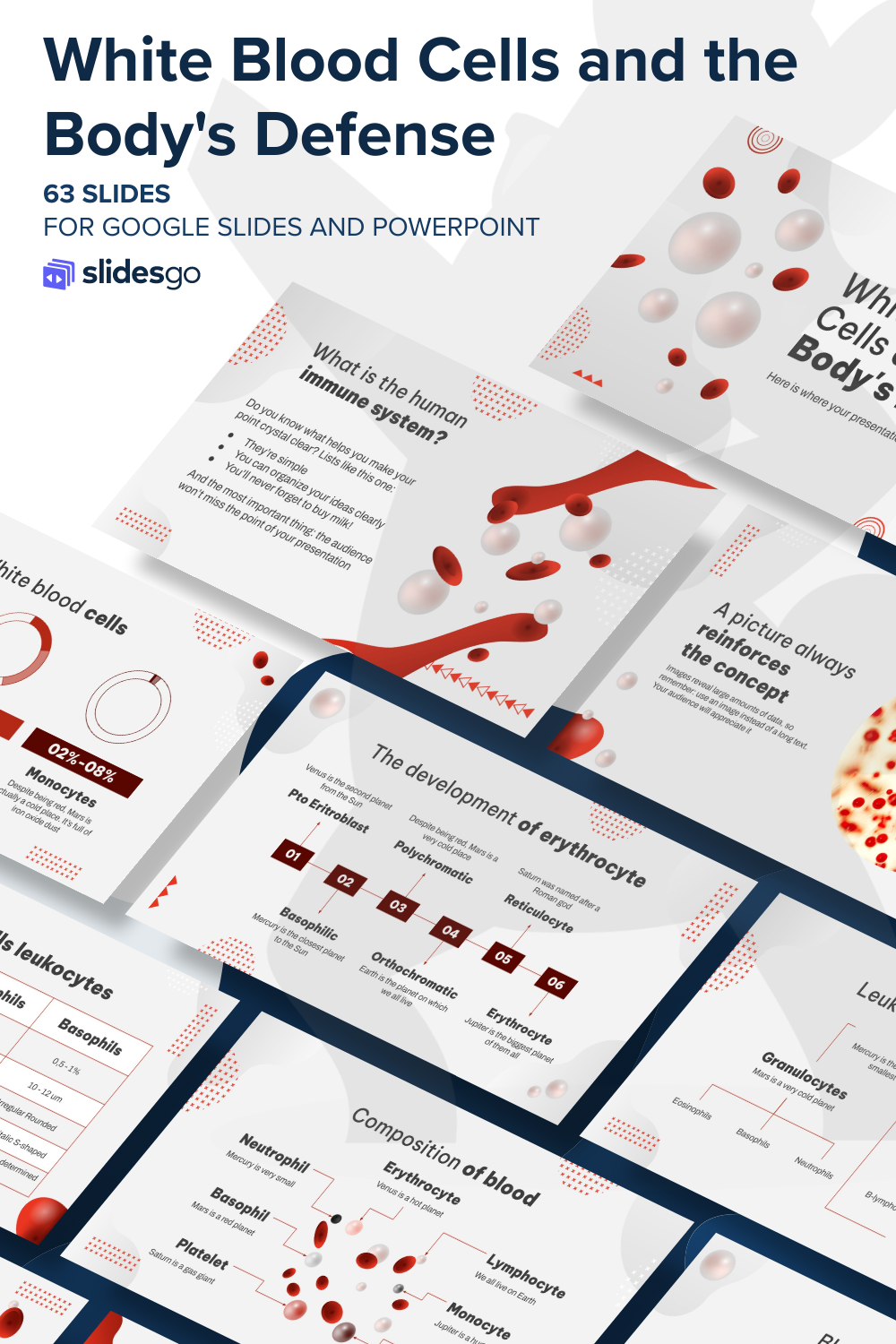 White Blood Cells and the Body's Defense