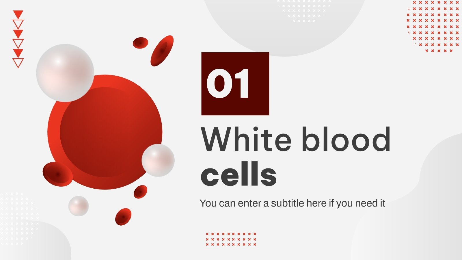 White Blood Cells and the Body's Defense