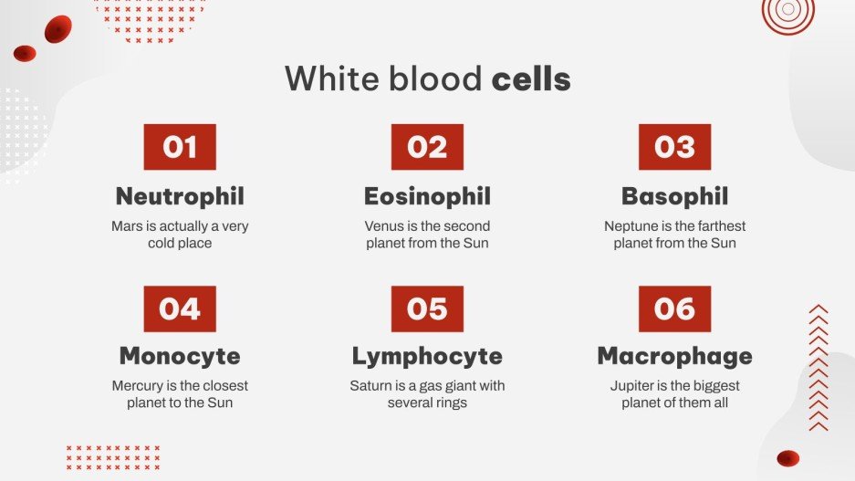 White Blood Cells and the Body's Defense
